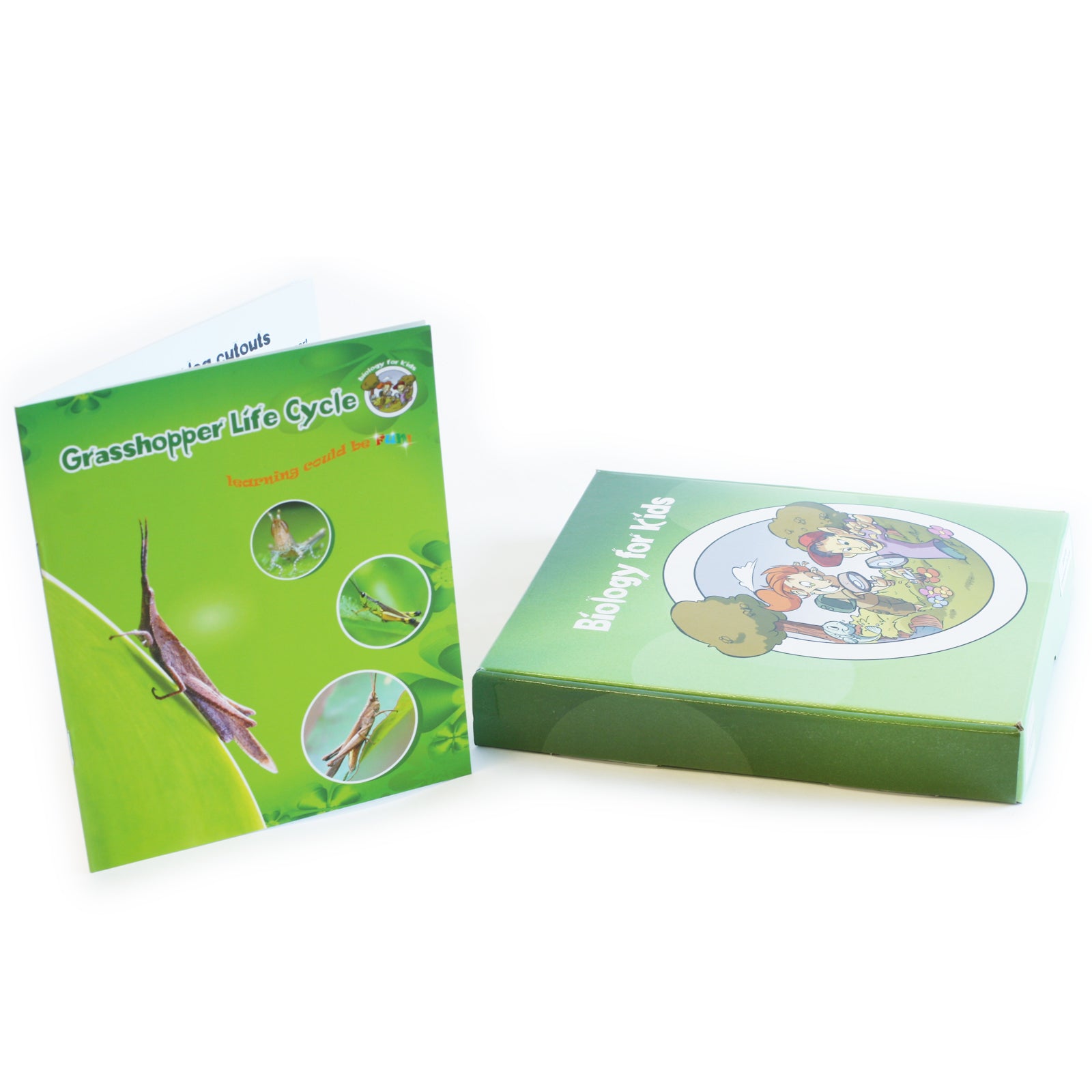 BFK1105Biology for Kids-Grasshopper Life Cycle – REALBUG