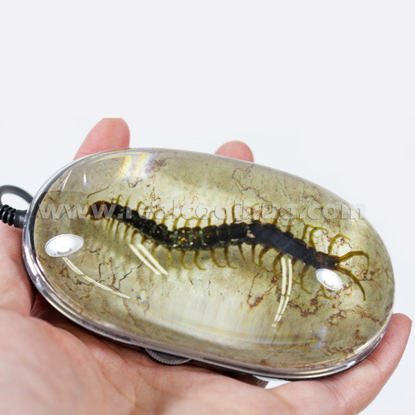 CM203Centipede Mouse – REALBUG