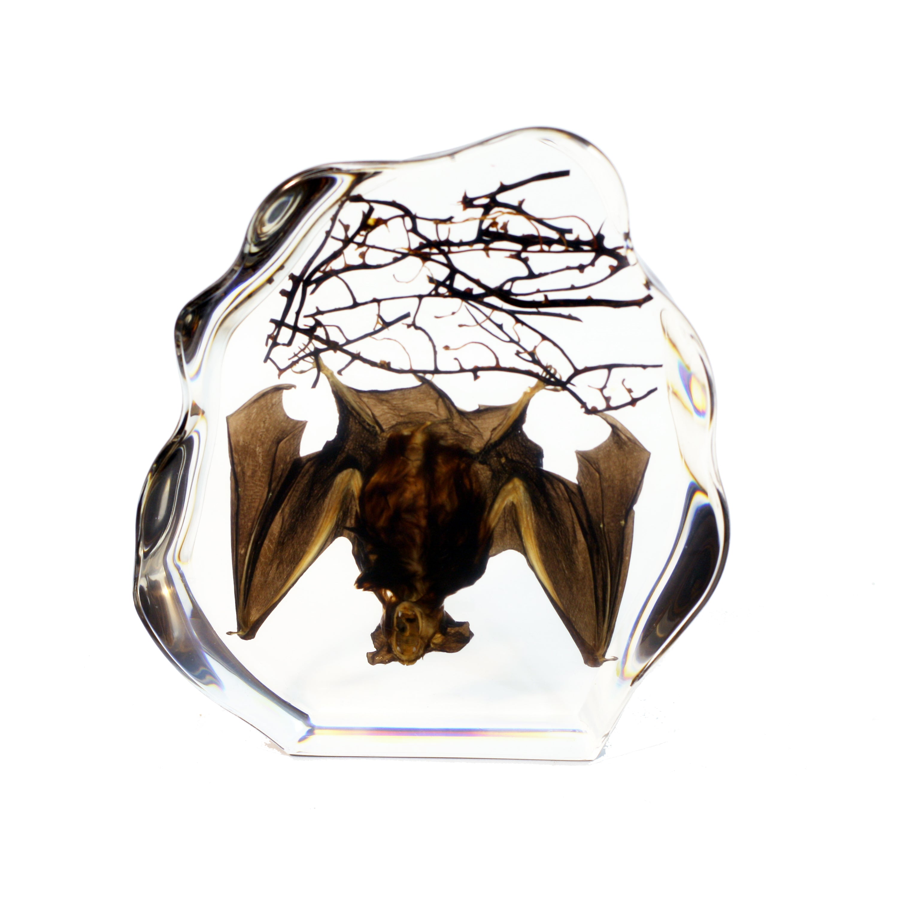 DS1119Hanging Bat Desk Decoration – REALBUG