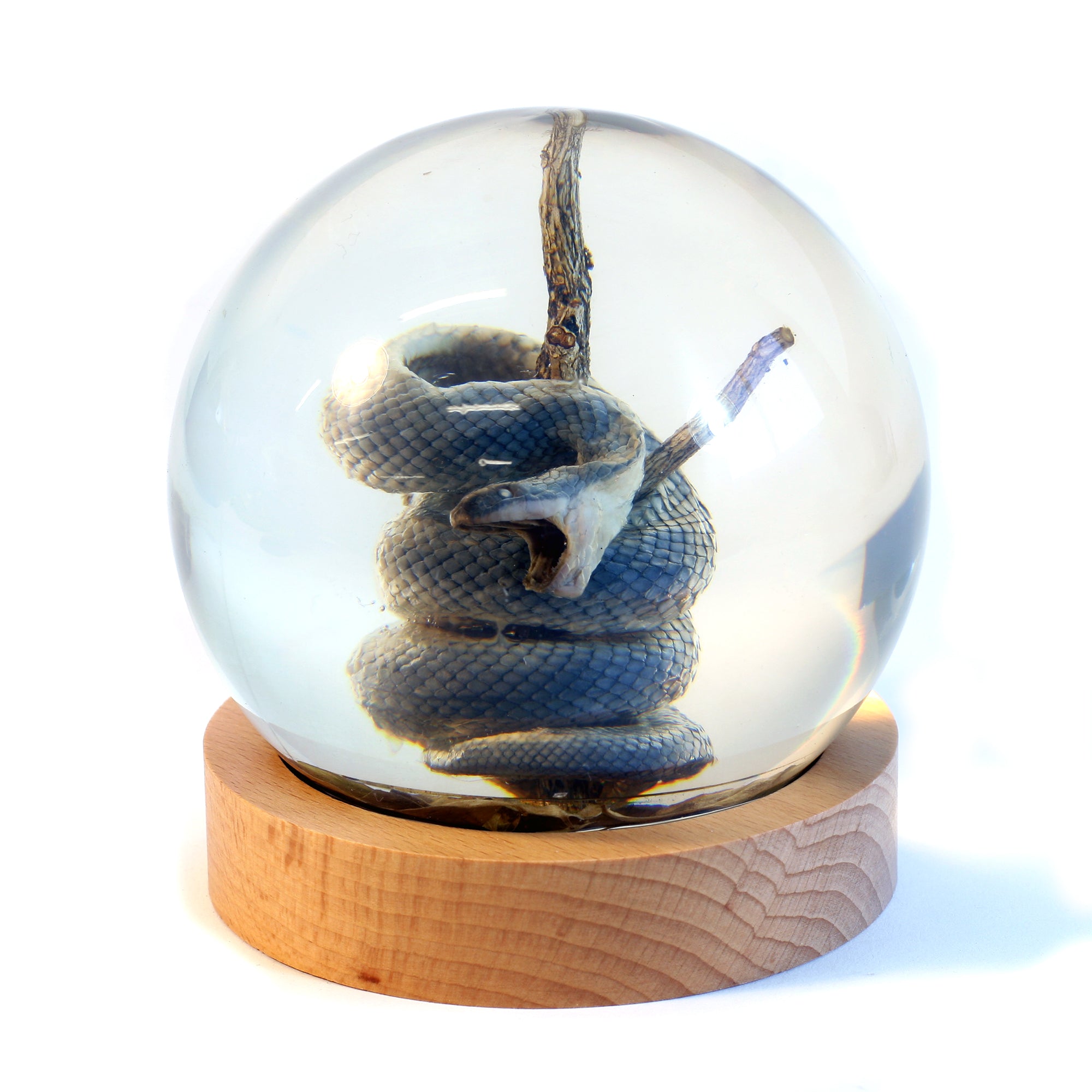 GL10013 4 inchReal Snake Globe with Stand – REALBUG