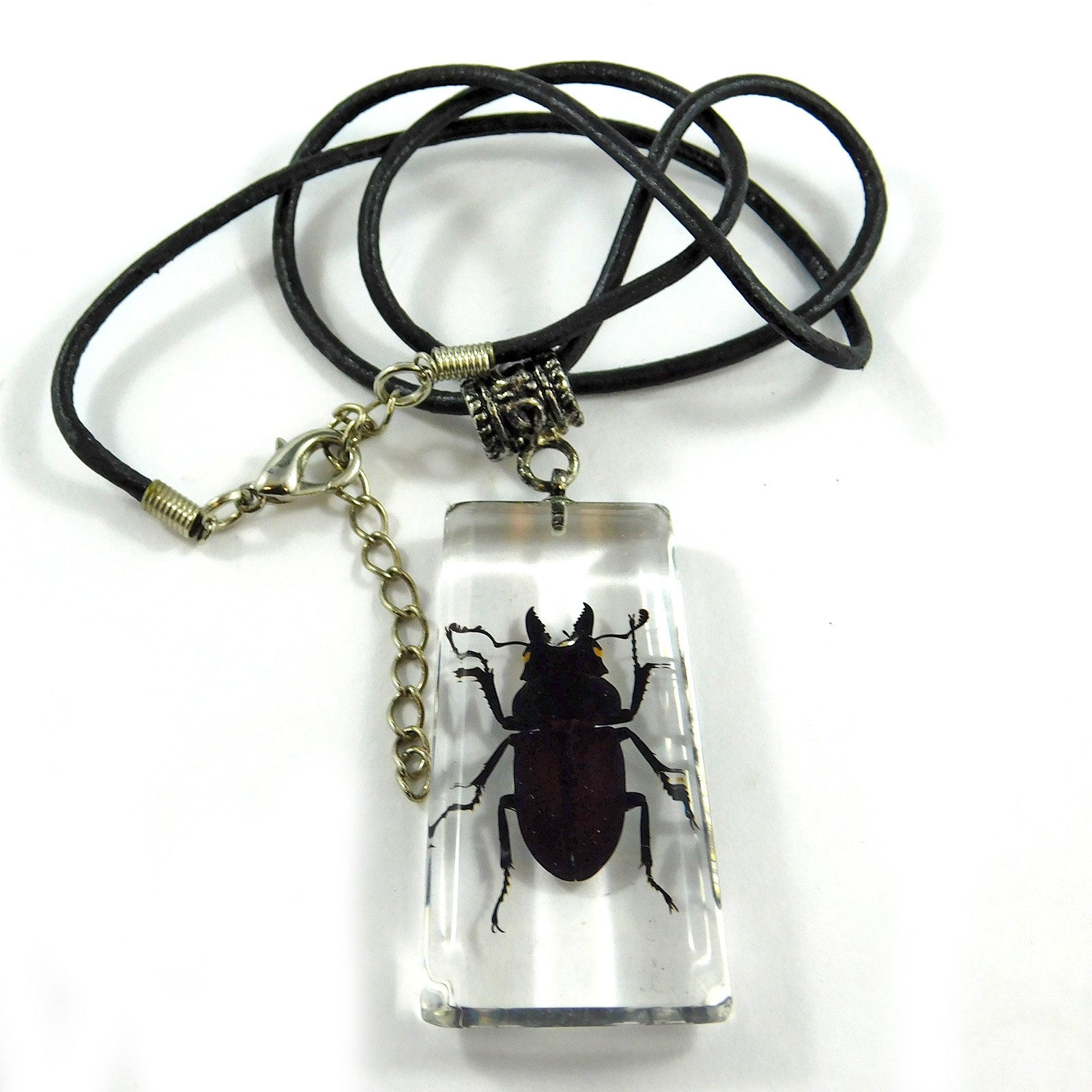 Stag Beetle Necklace (MSD103) – REALBUG